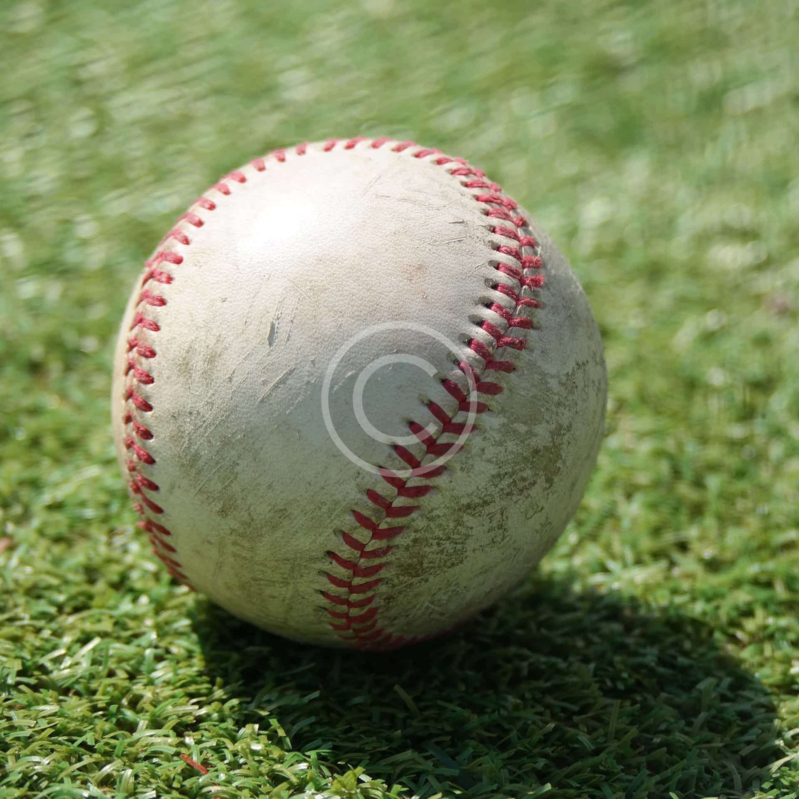Lessons learned from championship-winning teams – The Dominican ...